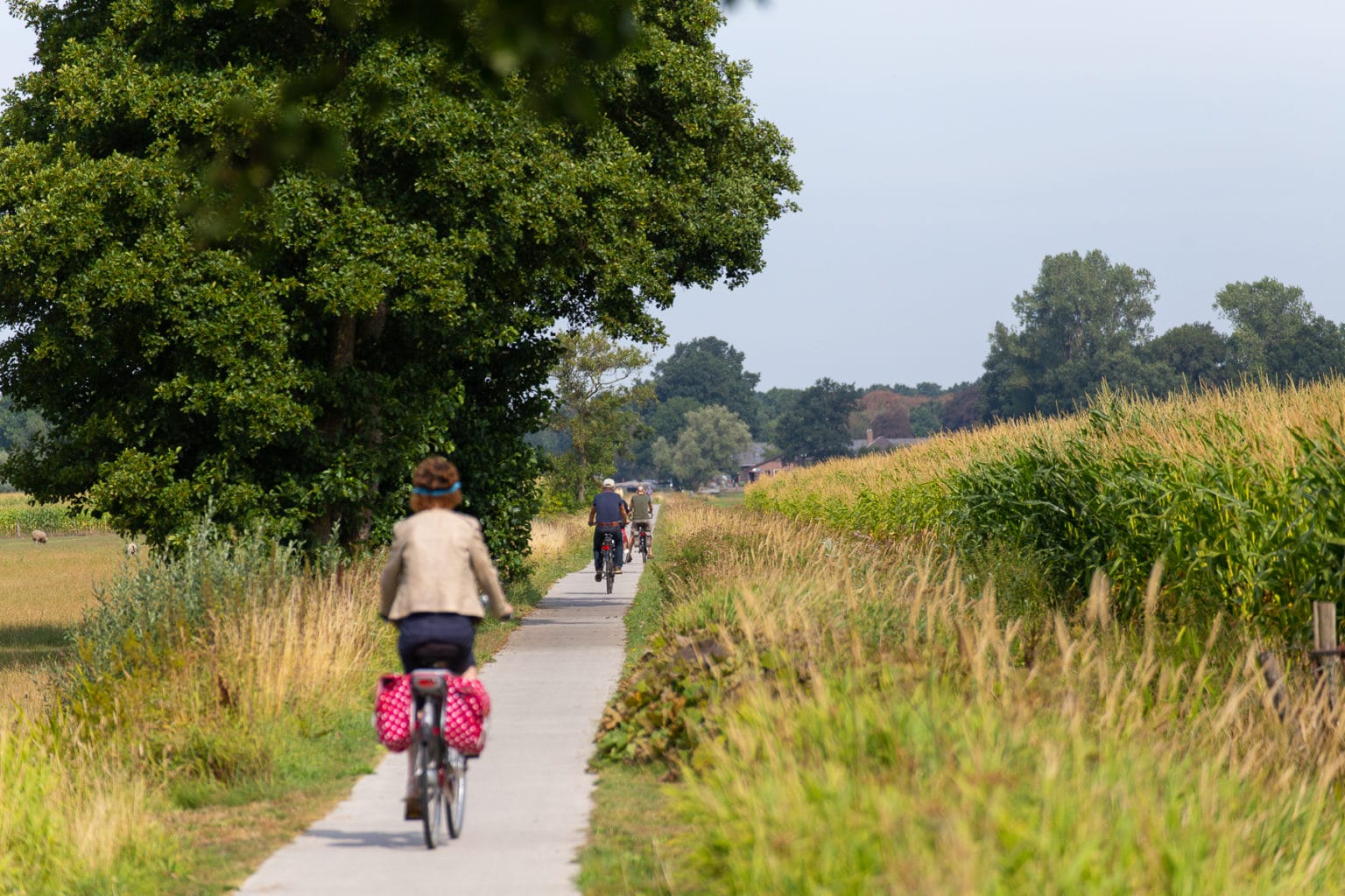 Oosterwolde - Wandelpad 't Pad rond de Zoandweg 26 - Visit Oldebroek