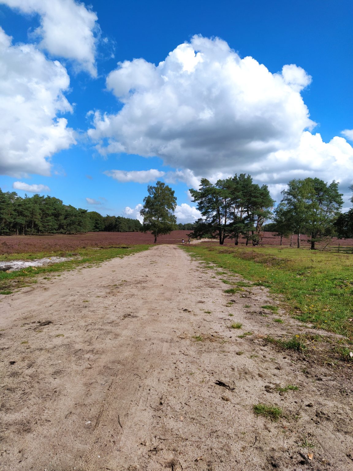 Visit Oldebroek - Rondje kernen